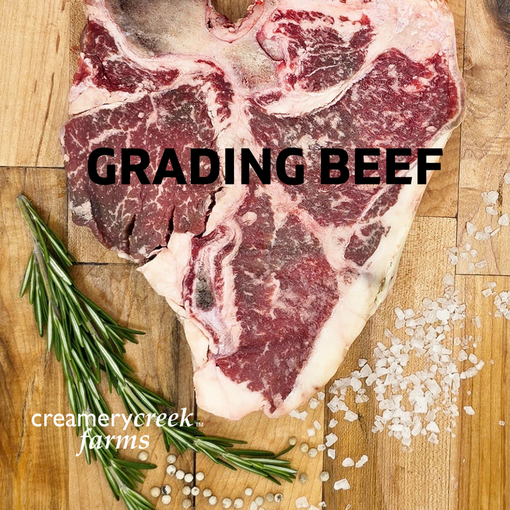 Understanding Beef Grades: What they Mean