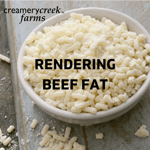 How to Render Fat from Briskets and Beef Roasts | Creamery Creek Farms